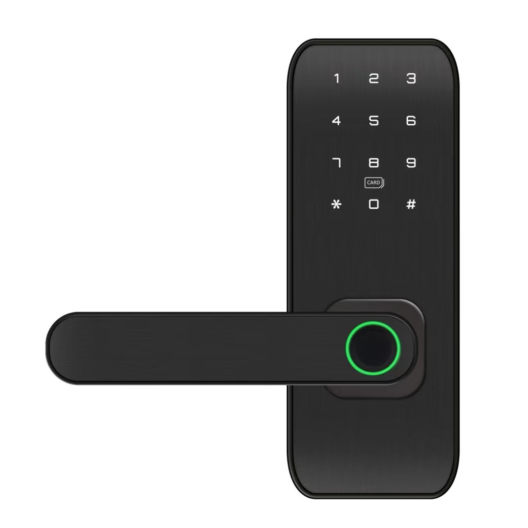 T2029 New Arrival Indoor Smart Door Lock With Zinc Alloy Mat-TCO Smart ...